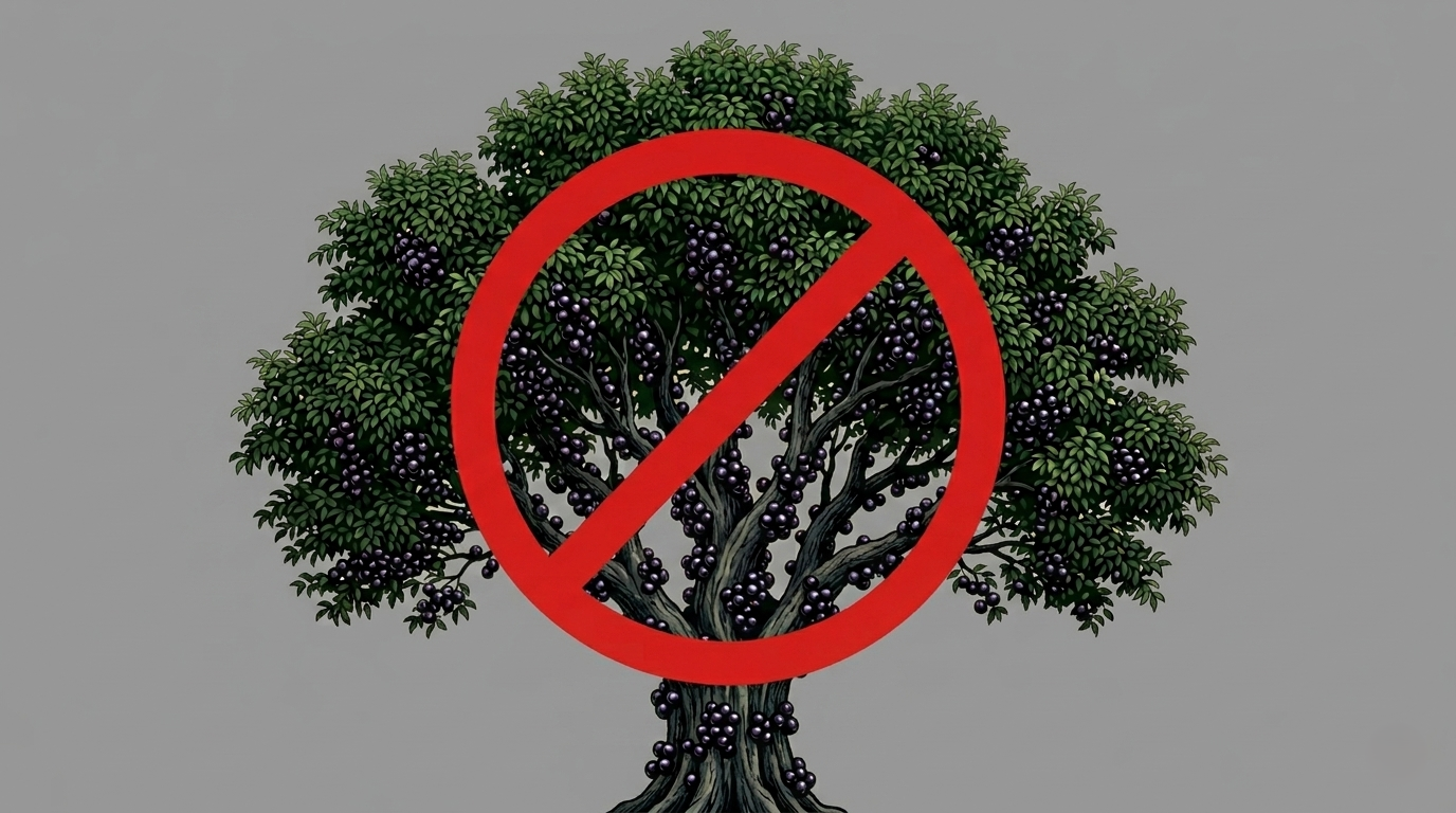 Come-cotas, a jaboticaba tributária que eu simplesmente odeio ...